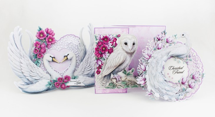 Carnation Crafts - Shop Carnation Crafts Collections Online UK