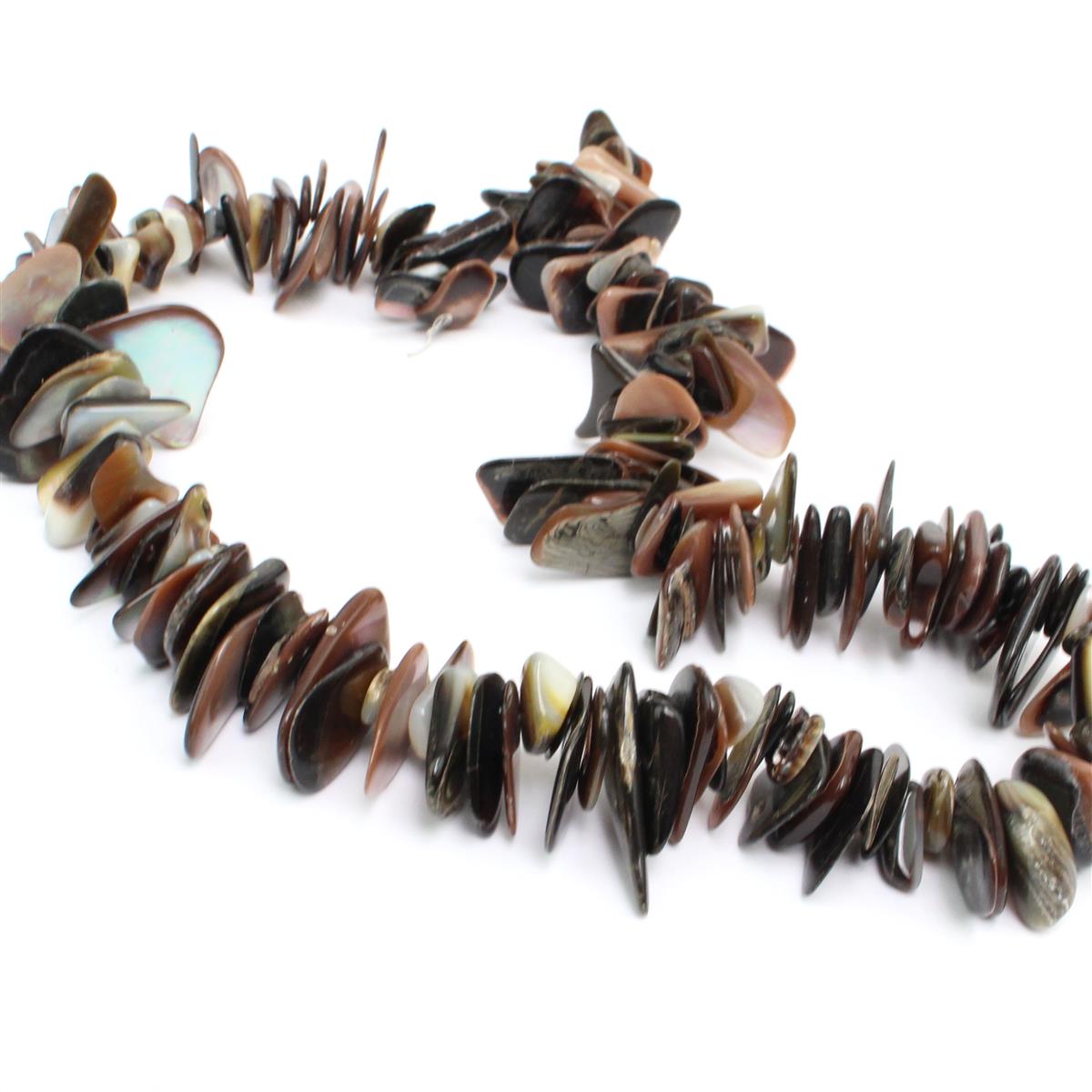 Pteria Penguin Shell Free Size Slivers Approx 8x12-13x25mm, 38cm length ...