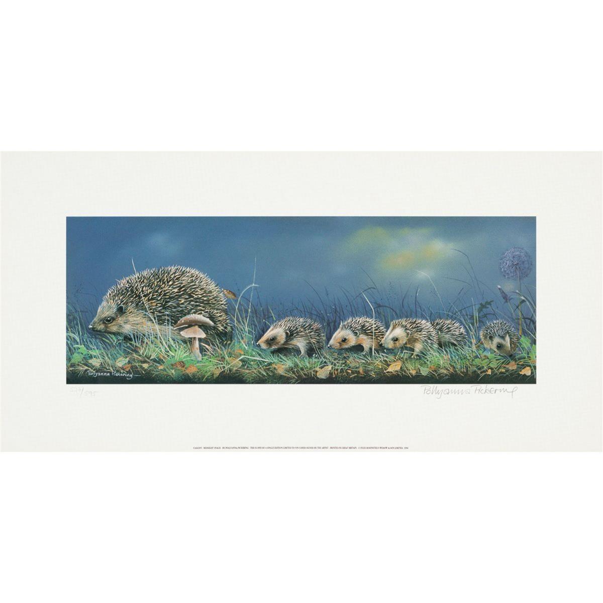 Hedgehog Limited Edition, Signed & Numbered by Pollyanna Pickering ...