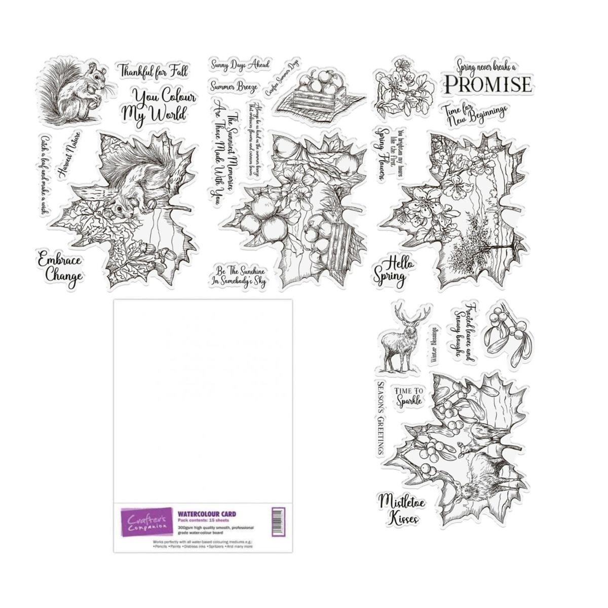 Sheena Douglass - Timeless Leaves Stamp Collection & Watercolour Card ...