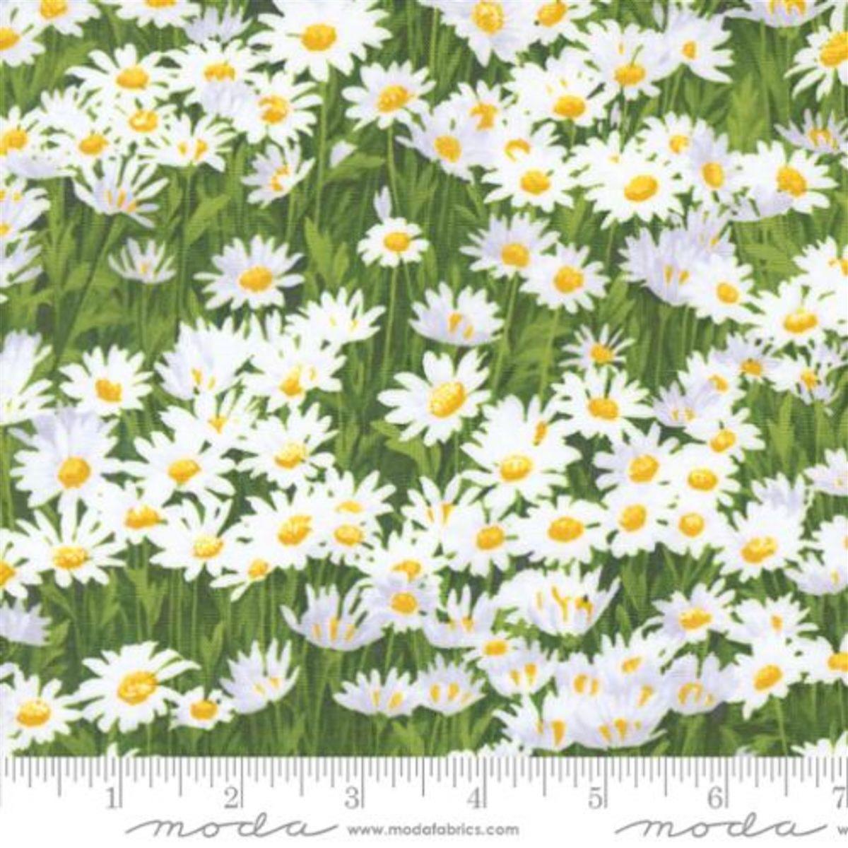 Moda Wildflowers Collection Daisies Floral Cloud Fabric 0.5m | SewingStreet