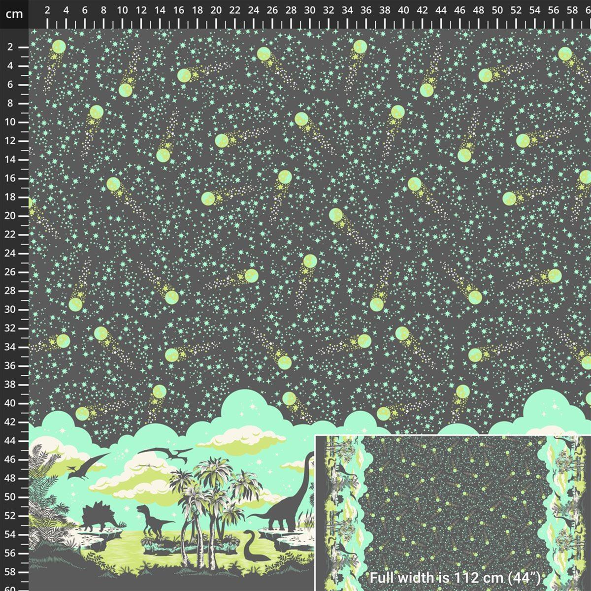 Tula Pink ROAR! Collection Meteor Showers Storm Double Border Fabric 0 ...