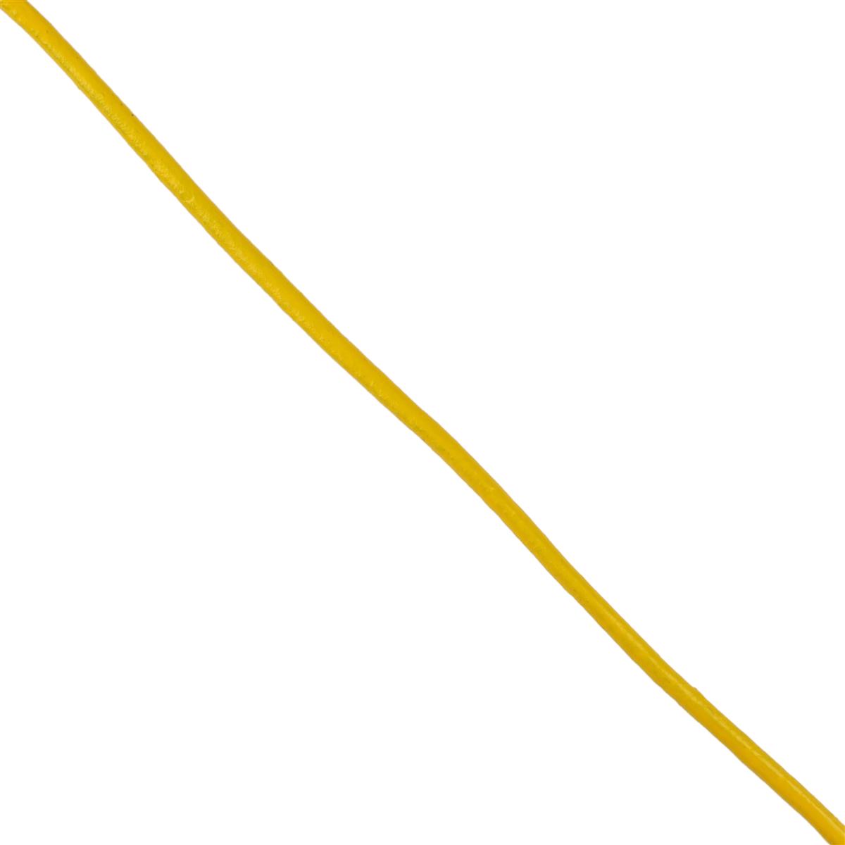 Gold Leather Cord, 5m, 2mm | JewelleryMaker