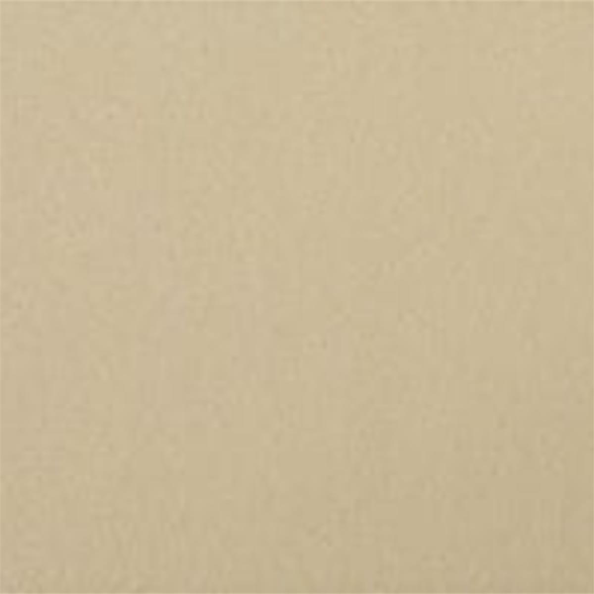 Pearl Ivory- A4 pearlescent card pack single sided colour 310gsm- 10 ...