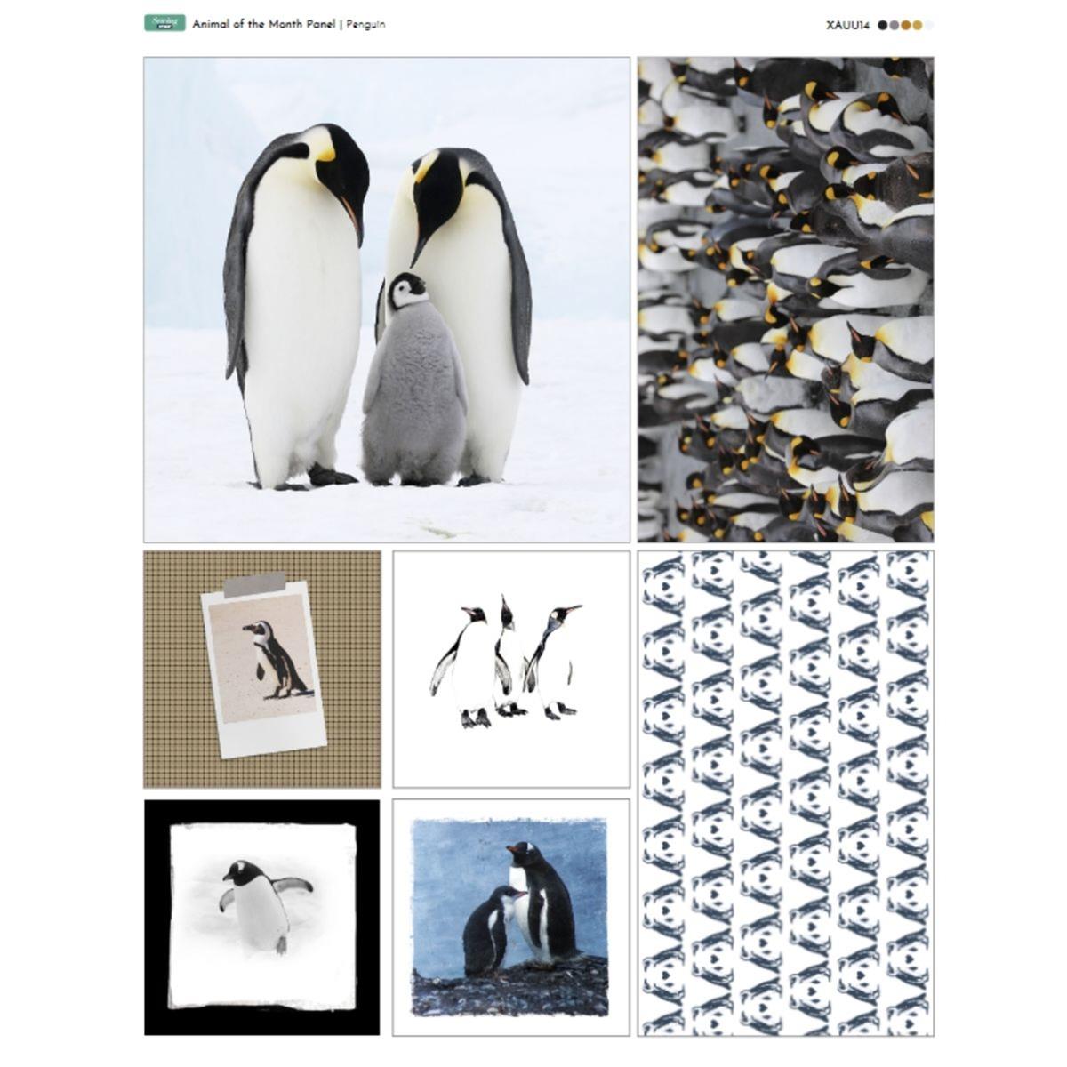 Animal of the Month Penguin Fabric Panel (70 x 95cm) | SewingStreet