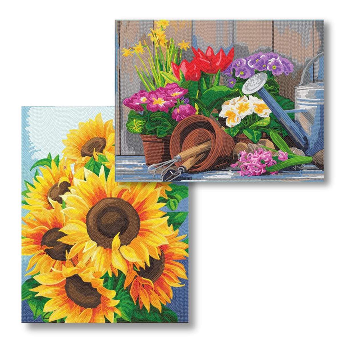 Craft Buddy- Everyday Set Crystal Art Canvas Kit 35cmx45cm- Set of 2 ...