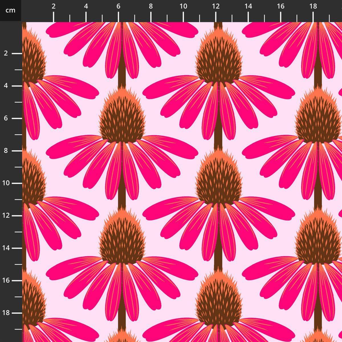 Anna Maria Brave With Love Always Collection Echinacea Maraschino ...