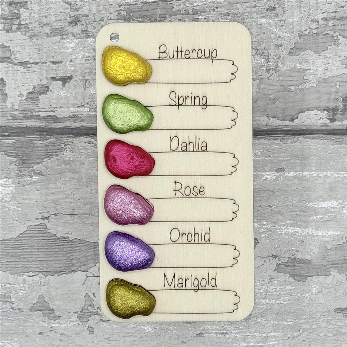 LMGifts - Bold - Paint Booklet Page | HobbyMaker